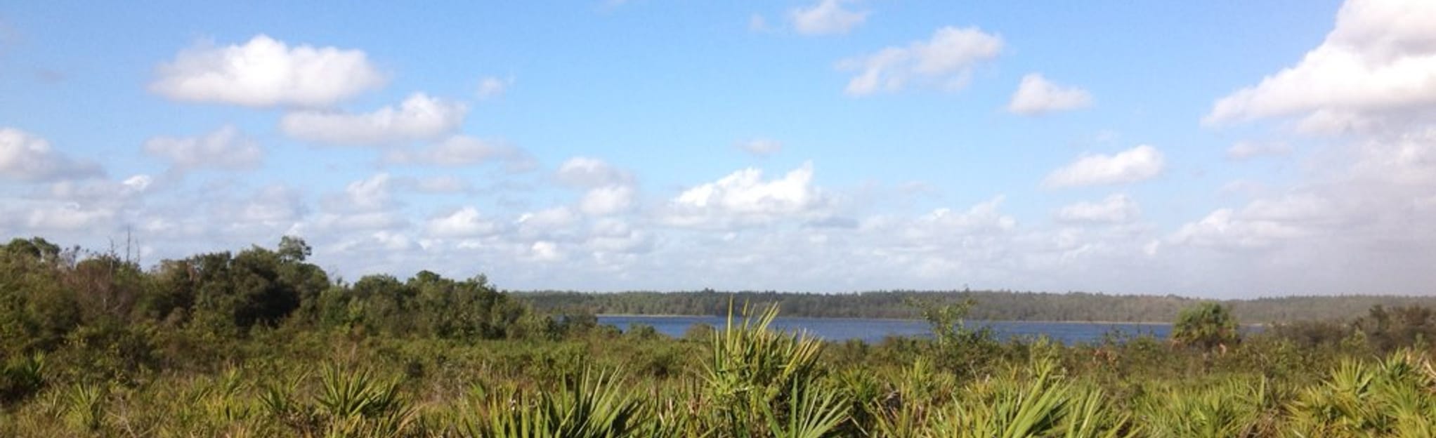 Lake Manatee East Loop: 44 Reviews, Map - Florida | AllTrails