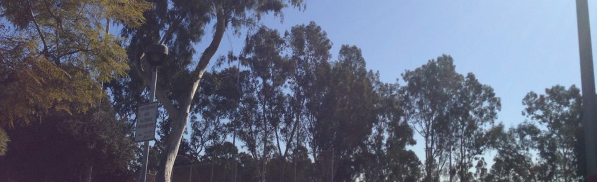 Charles H Wilson Park Loop: 479 Reviews, Map - California | AllTrails Charles H Wilson Park Loop: 479 Reviews, Map - California | AllTrails