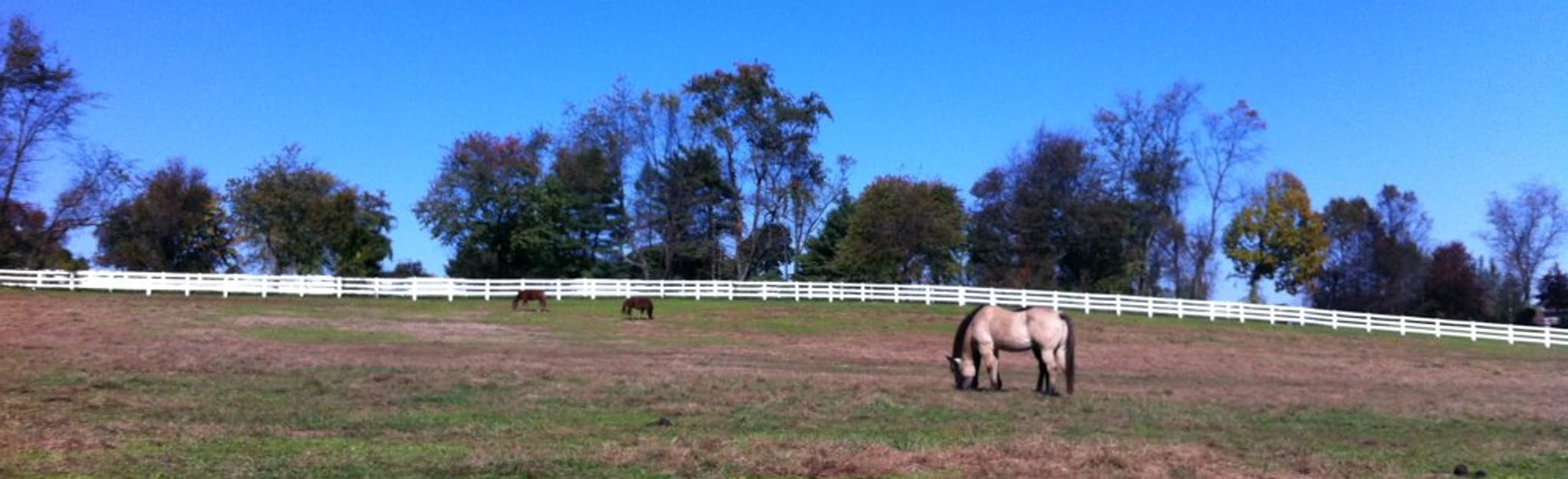 Carousel Park Trail: 163 foto's - Delaware | AllTrails