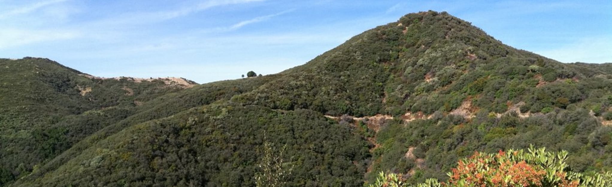Montecito Peak via Cold Spring Trail, California - 68 Reviews, Map ...