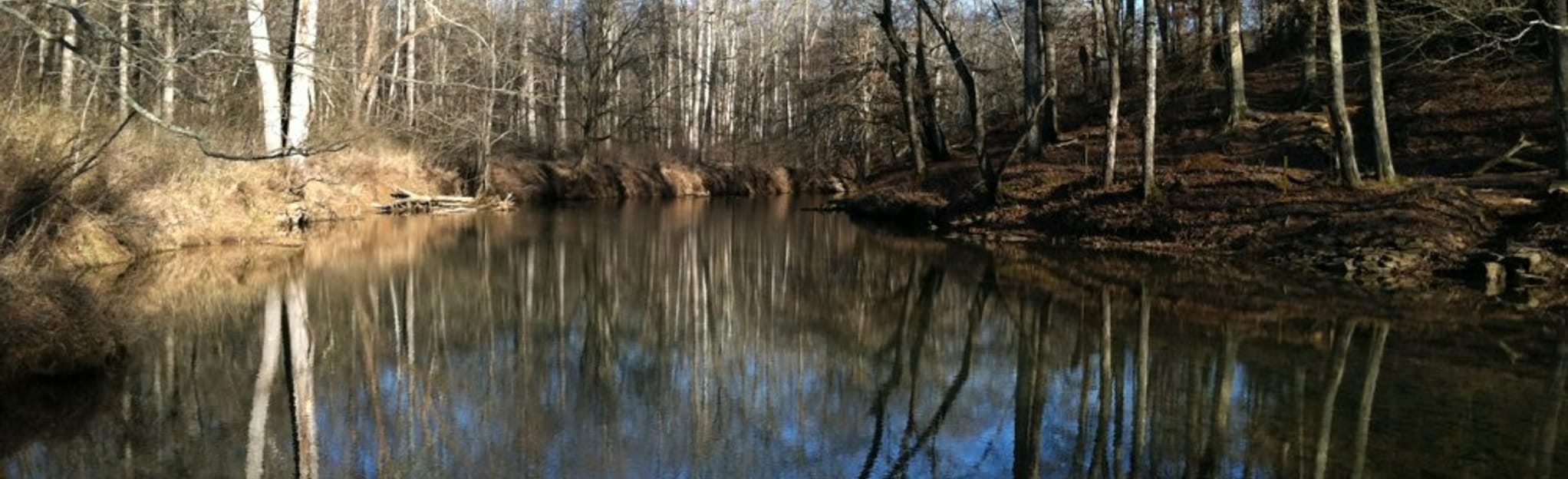 Salt Peter Cave Trail, Illinois - 71 Reviews, Map | AllTrails