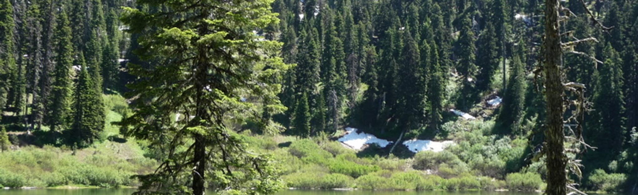 Bolan Lake Trail Loop: 4 Reviews, Map - Oregon | AllTrails