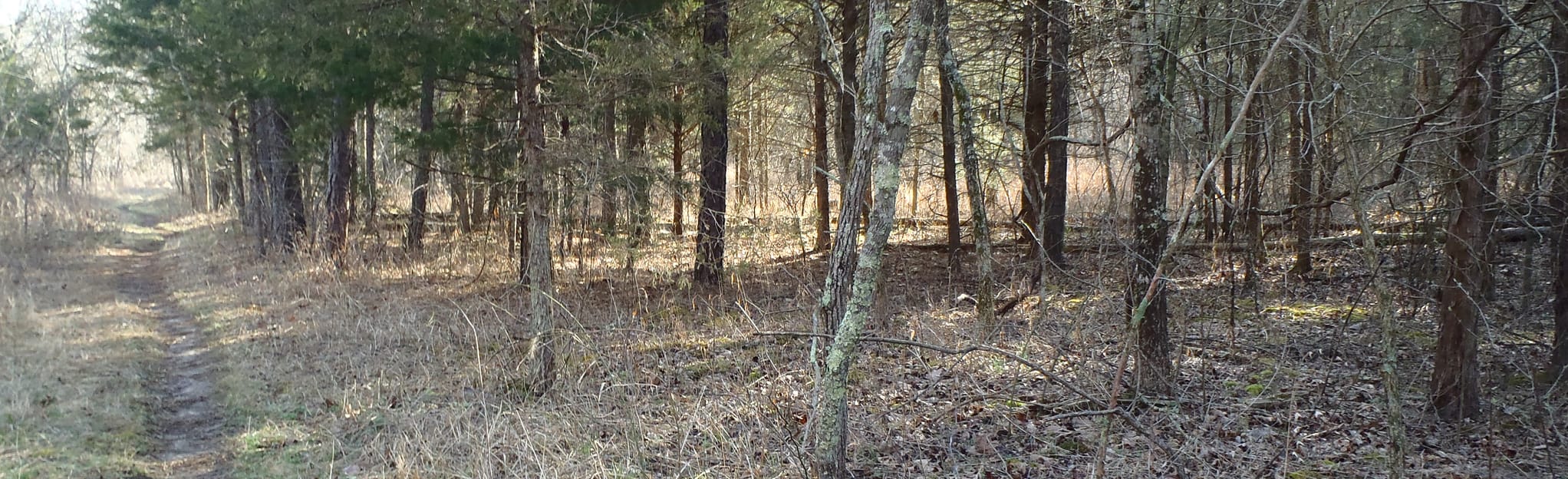 Kaintuck Trail: Cedar Section, Missouri - 65 Reviews, Map | AllTrails