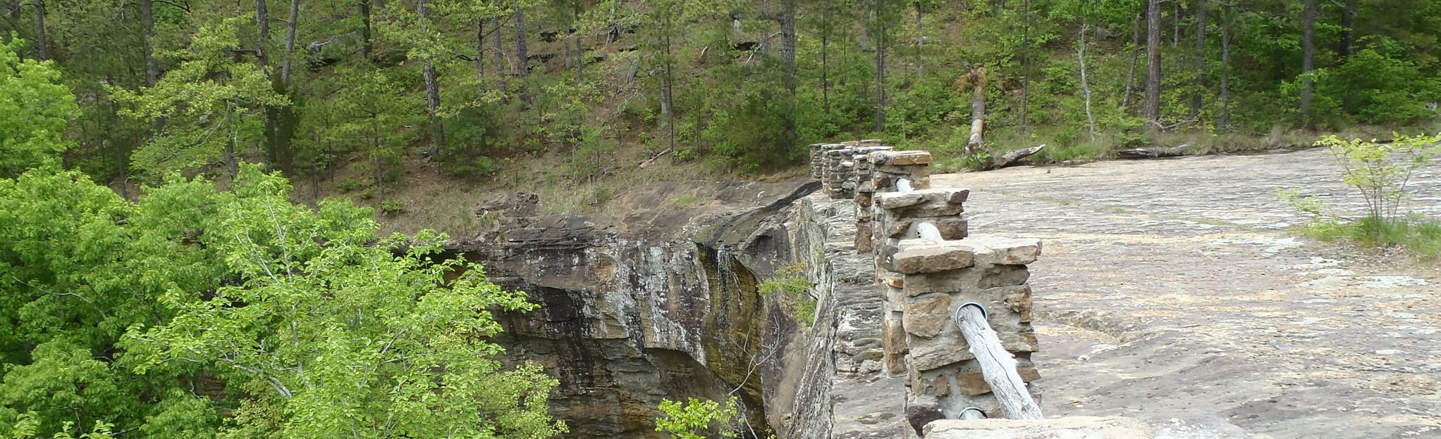 King's Bluff Loop Trail: 300 Reviews, Map - Arkansas | AllTrails