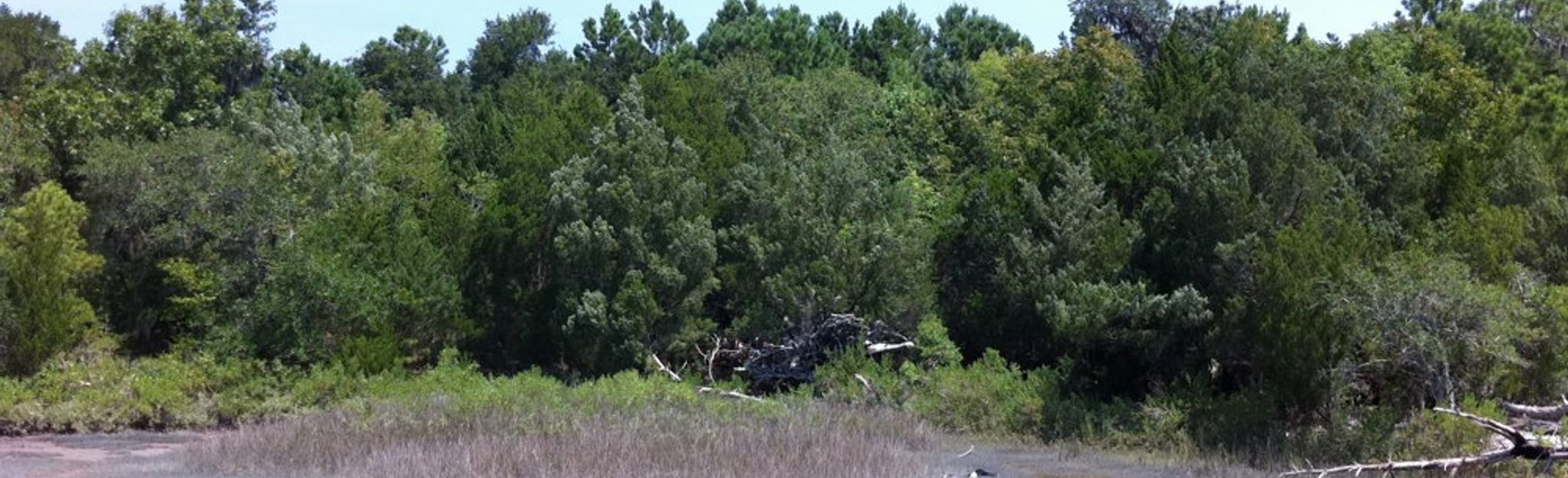 Sewee Shell Ring Interpretive Trail: 72 Reviews, Map - South Carolina ...
