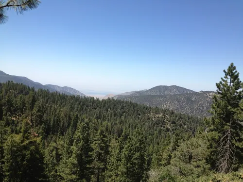 10 Best Trails and Hikes in Frazier Park | AllTrails