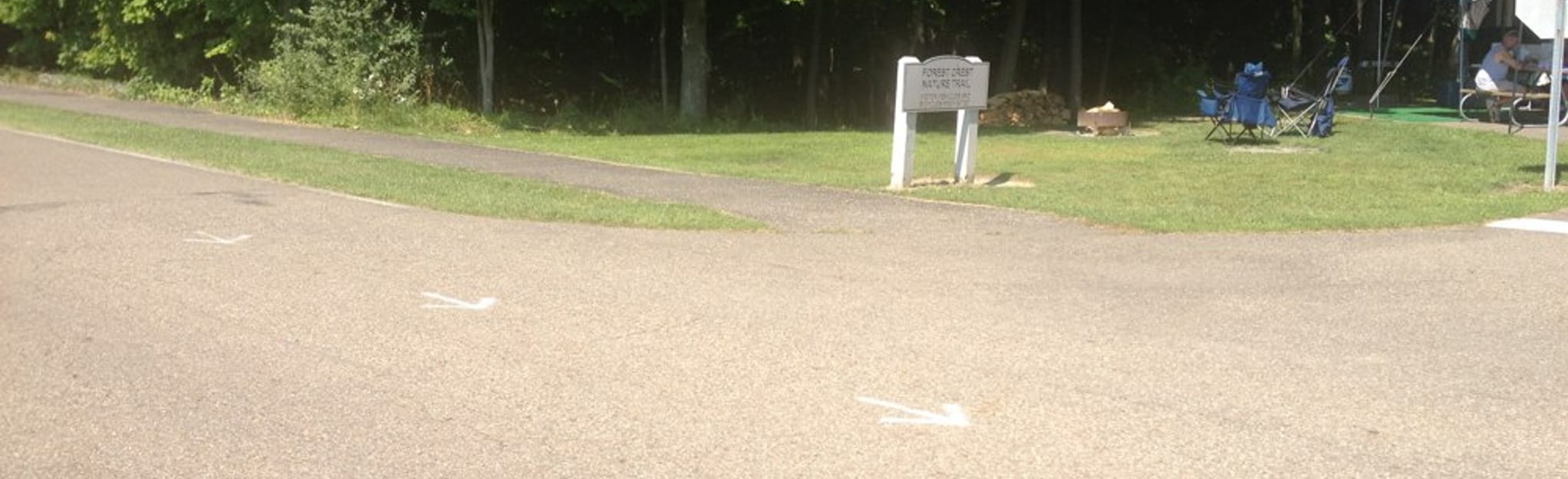 Forest Crest Trail, Ohio - 27 Reviews, Map | AllTrails