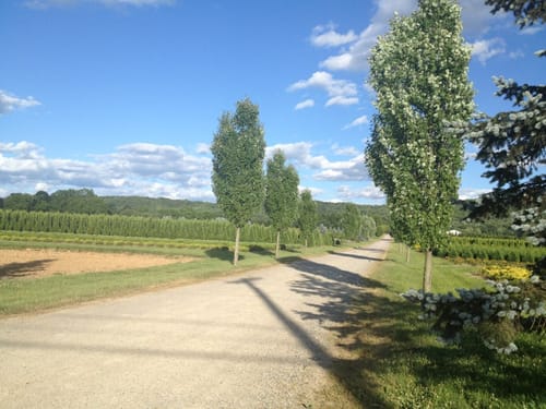 2023 Best 10 Trails and Hikes in Long Valley | AllTrails