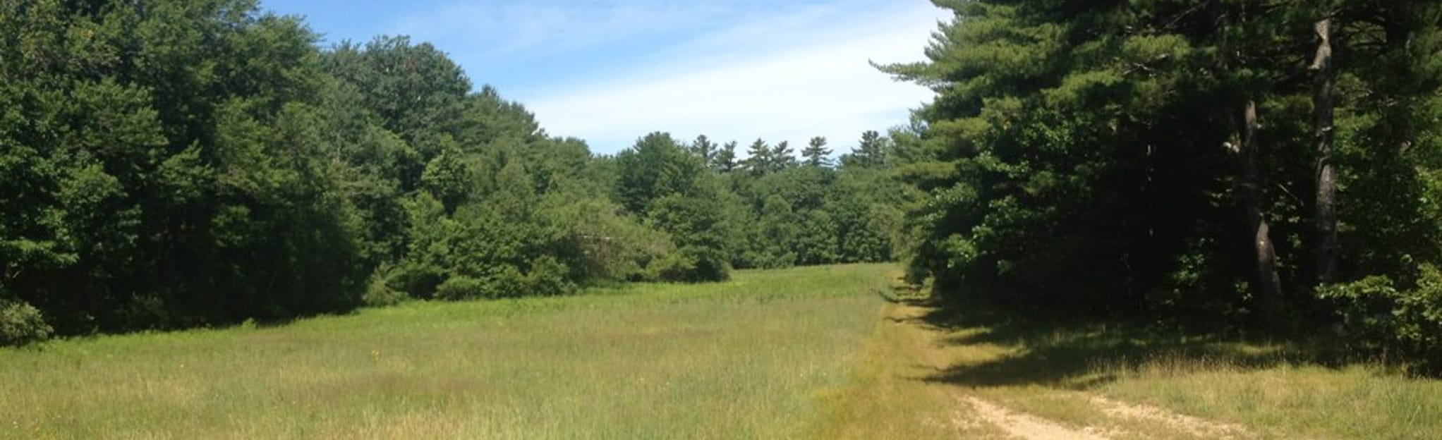 Little Bear, Bobcat, and Broken Boulder Loop Trail - New Hampshire ...
