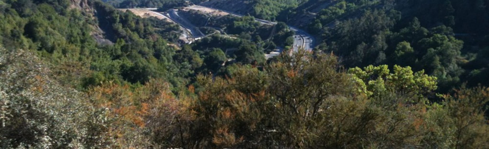 AllTrails | Flume and Jones Trail Loop : 193 Reviews, Map - California