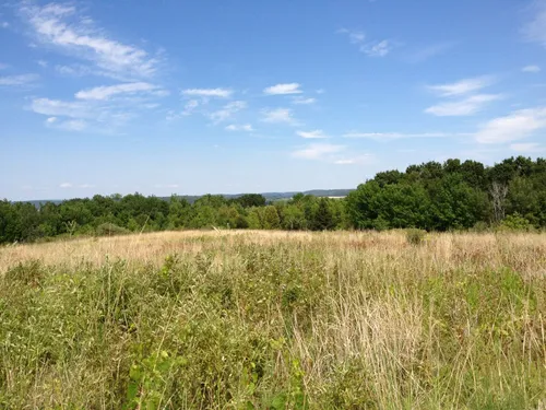 10 Best Horseback Riding Trails in Wisconsin | AllTrails