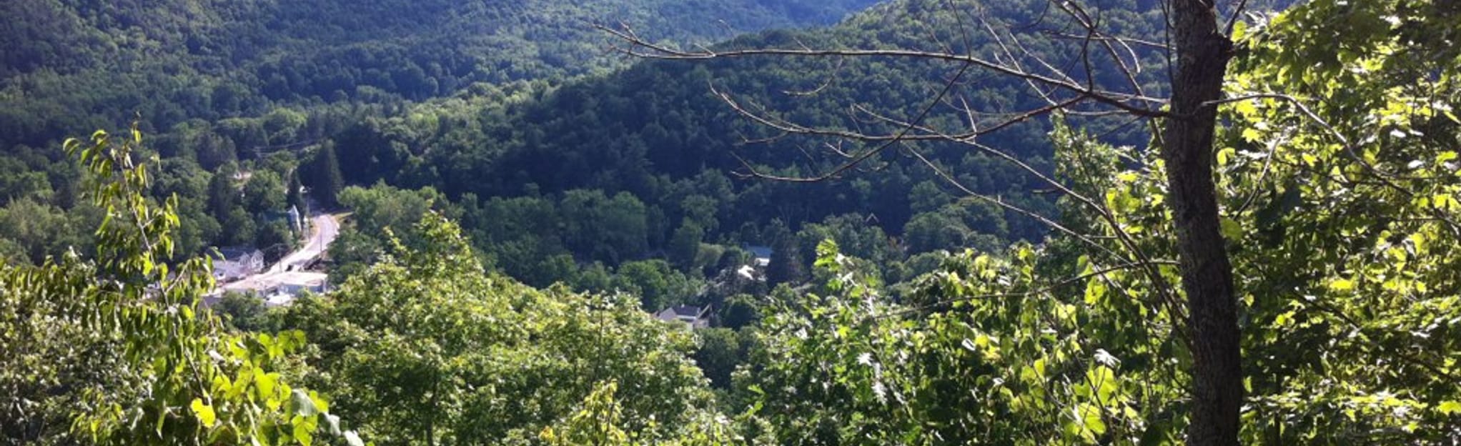 Tanbark Loop: 490 Reviews, Map - New York | AllTrails