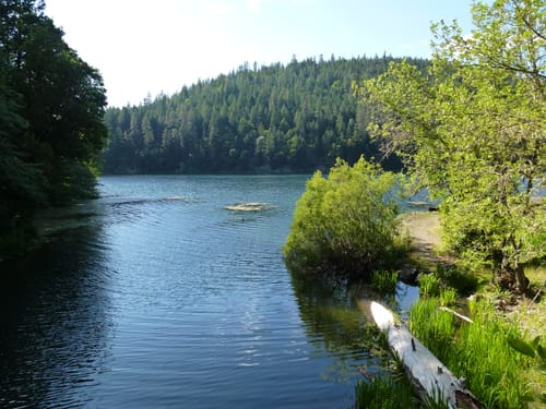 2023 Best 10 Trails and Hikes in Jacksonville | AllTrails