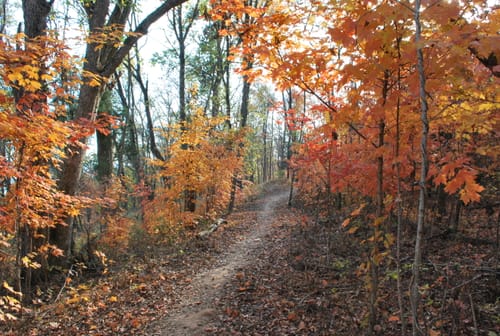 Best Hikes and Trails in Spring Mill State Park | AllTrails