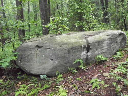 Best Hikes and Trails in Laurel Ridge State Park | AllTrails