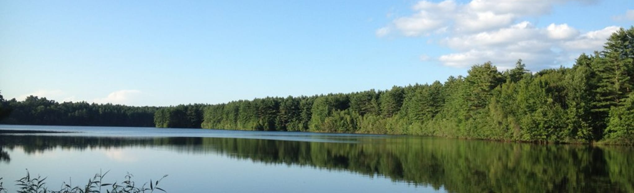 Gates Pond, Massachusetts - 1,039 Reviews, Map | AllTrails