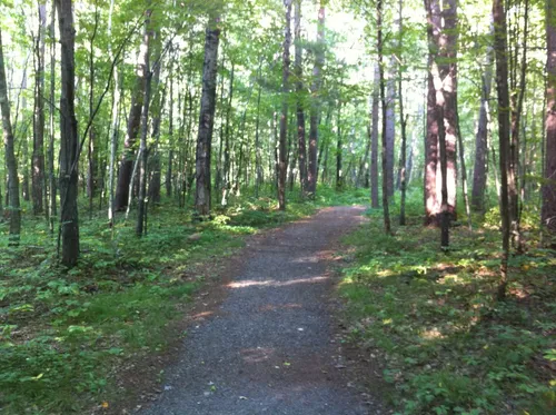 Best Hikes and Trails in Saint Croix State Park | AllTrails