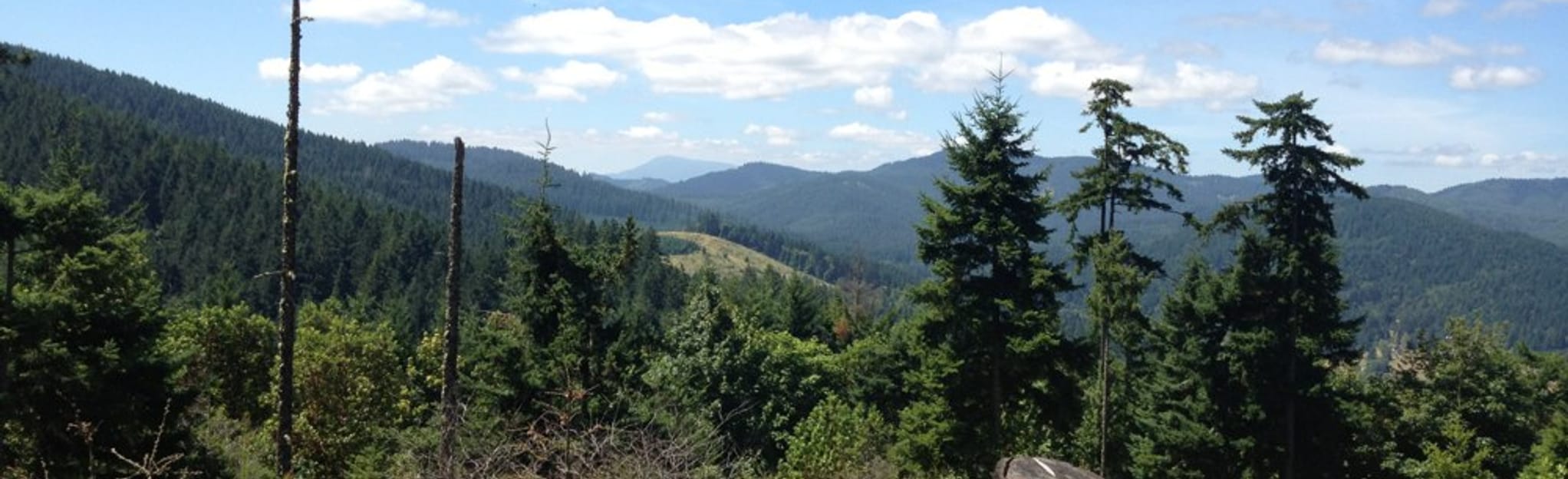 Section 36 Loop Trail: 545 Reviews, Map - Oregon | AllTrails