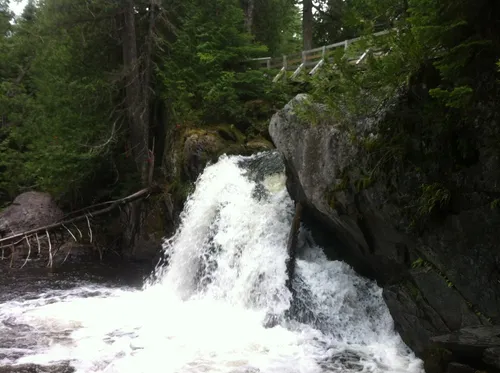 10 Best Hikes and Trails in Mount Carleton Provincial Park | AllTrails