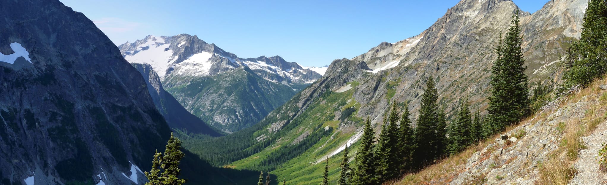 Easy Pass Trail: 342 Reviews, Map - Washington | AllTrails