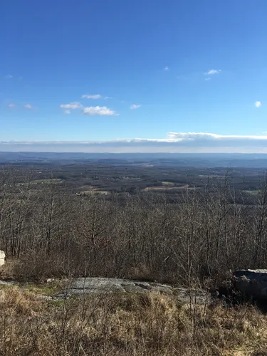 10 Best Forest Trails in Stokes State Forest | AllTrails