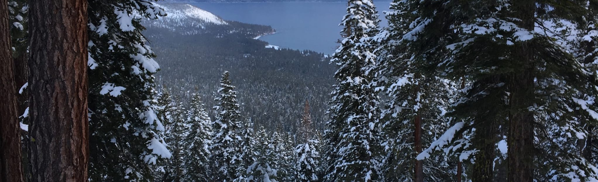 Brockway Summit to Mount Baldy Loop, California - 139 Reviews, Map ...