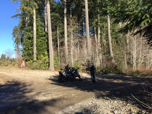 10 Best Long Trails in Tahuya State Forest | AllTrails