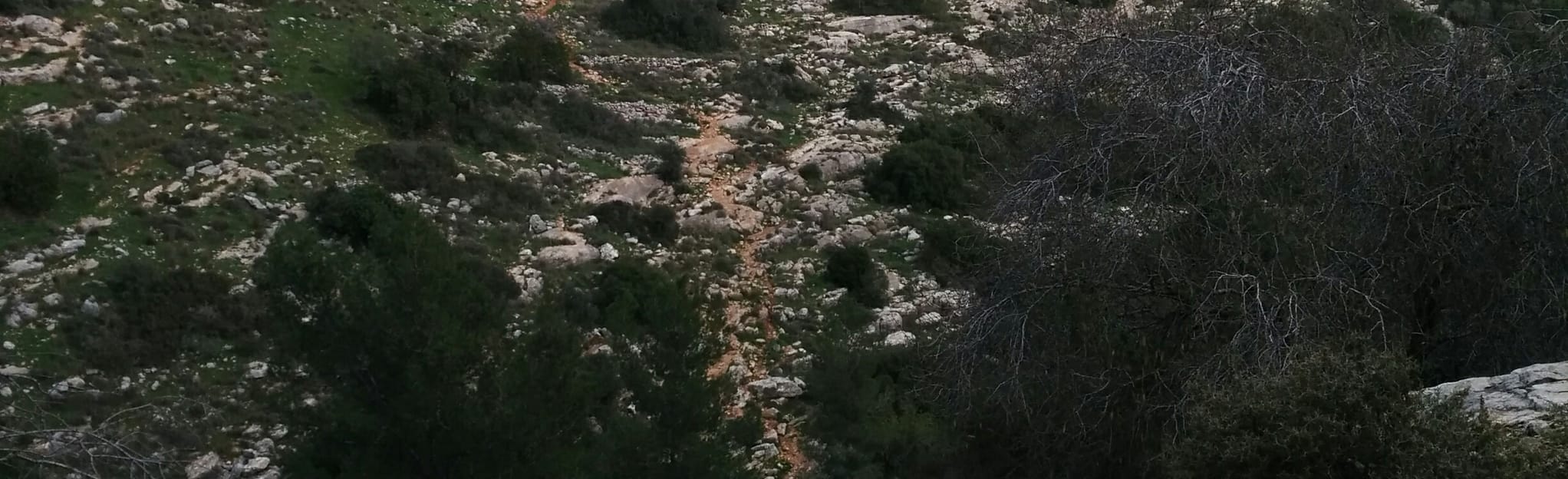 Beit Meir to Burma Road and Makhal Memorial Monument: 3 Reviews, Map ...