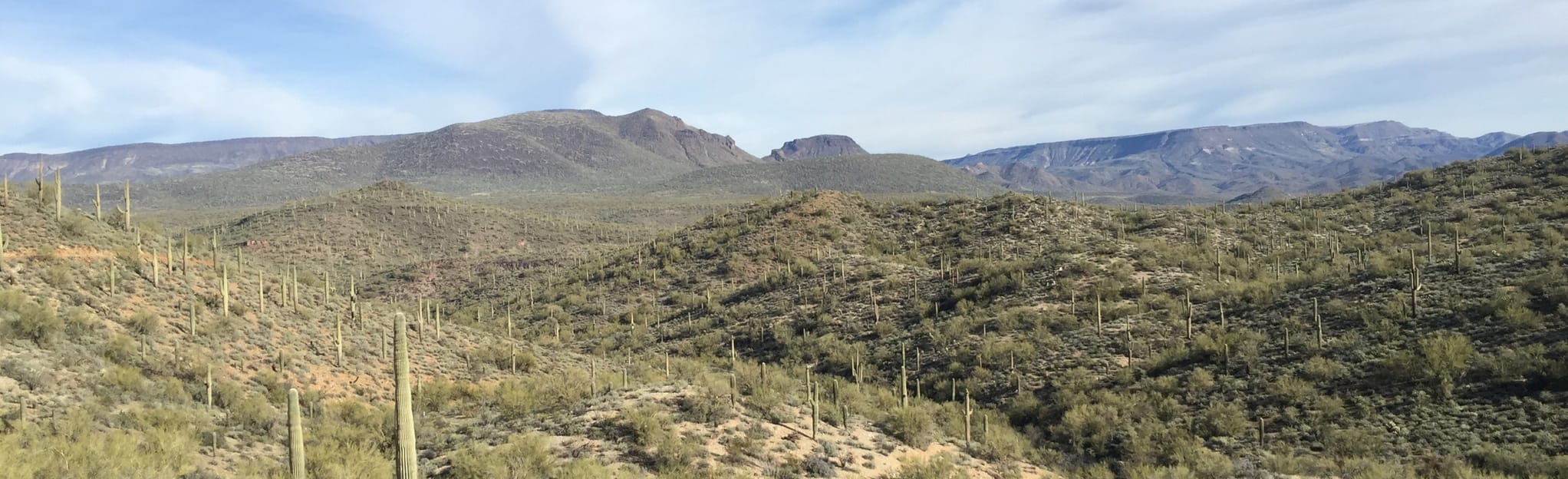 Overton Trail Loop, Arizona - 2,069 Reviews, Map | AllTrails