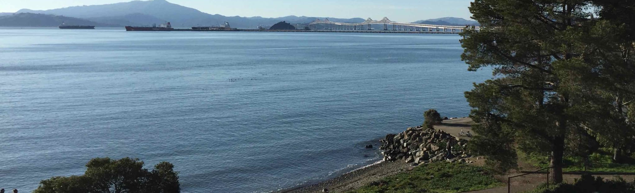 Point Richmond Outer Loop: 74 Reviews, Map - California | AllTrails