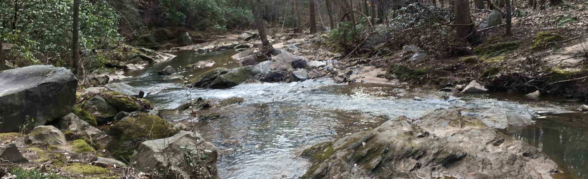 Palmetto Trail (Croft Passage): 304 Reviews, Map - South Carolina ...