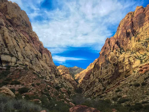 10 Best Trails and Hikes in Blue Diamond | AllTrails