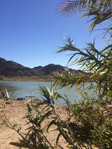 Best Hikes and Trails in Mittry Lake Wildlife Area | AllTrails