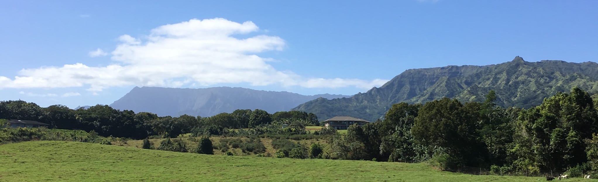 Hoopii Falls Trail, Kaua'i, Hawaii - 4,235 Reviews, Map | AllTrails