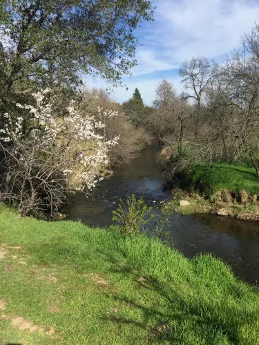 10 Best Trails and Hikes in Roseville | AllTrails