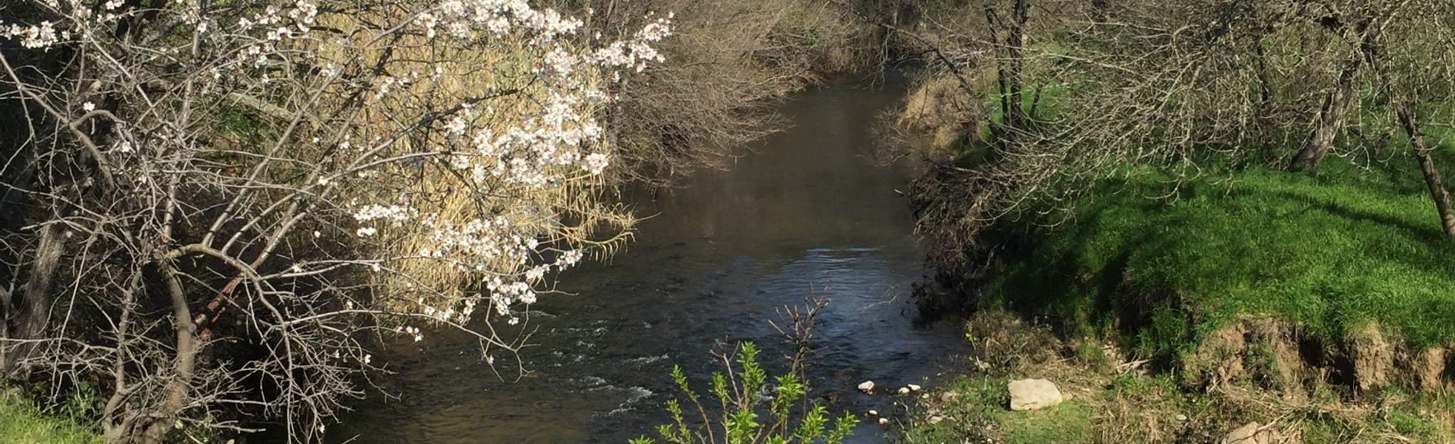 Miners Ravine Trail, California - 873 Reviews, Map | AllTrails