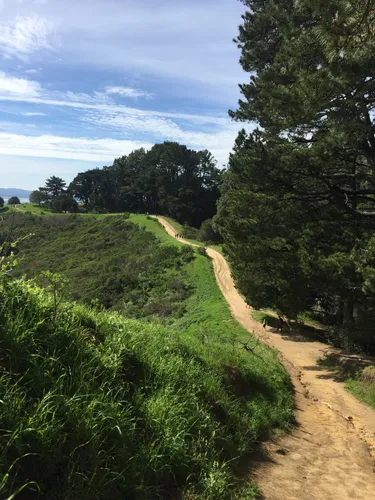 10 Best Trail Running Trails in Berkeley | AllTrails