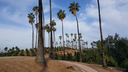 2023 Best 10 Trails and Hikes in Riverside | AllTrails