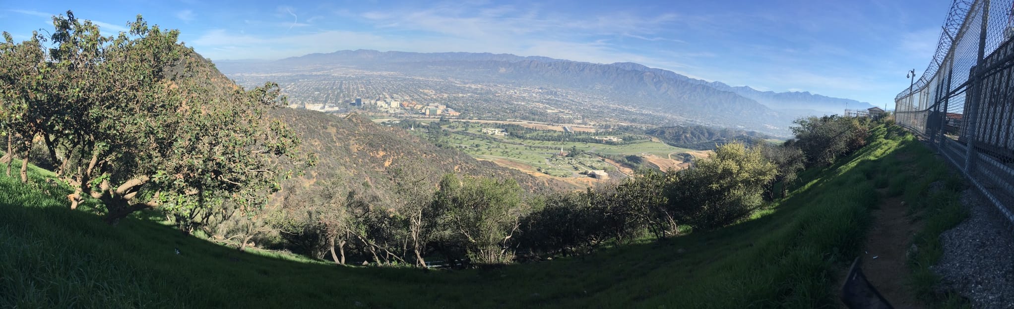 Wisdom Tree, Cahuenga Peak and Mount Lee Summit Loop: 1329 Reviews, Map ...