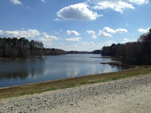 2023 Best Forest Trails in Charlie Elliott Wildlife Center | AllTrails