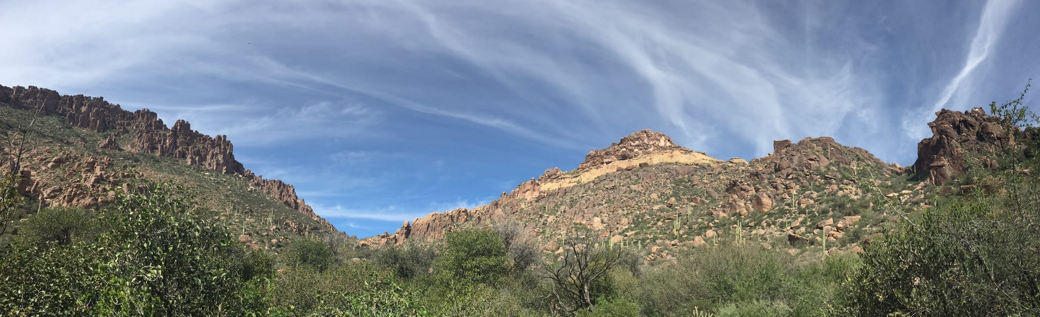 Lone Tree via Peralta Canyon Trail: 7.408 fotos - Arizona | AllTrails