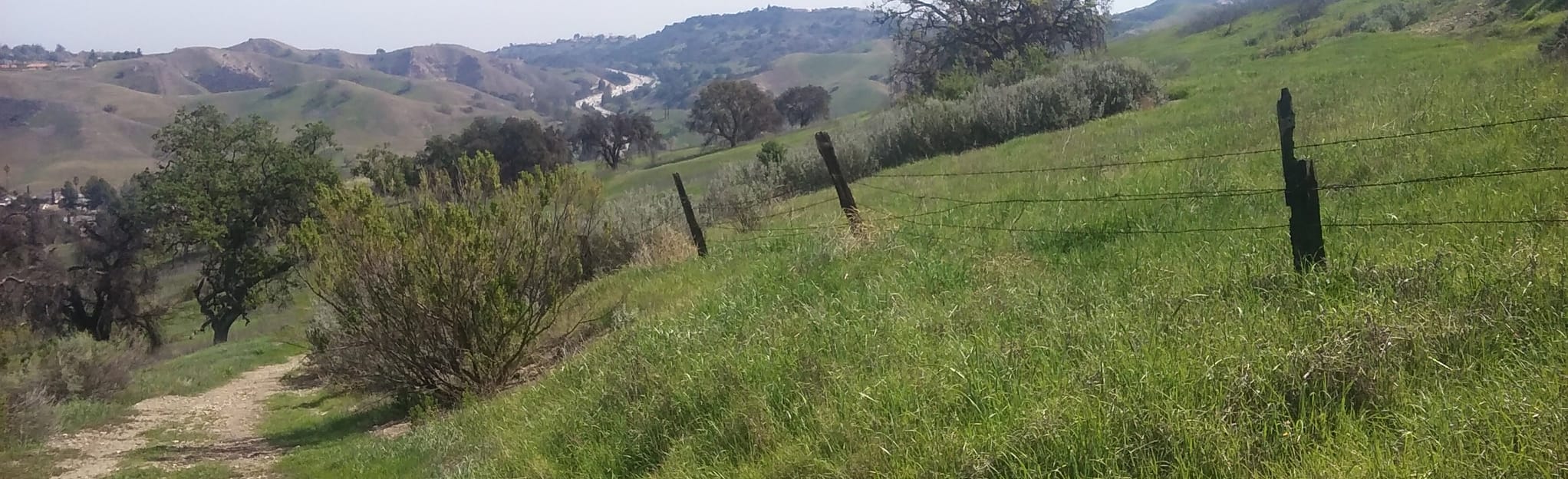 Morrison Ranch Trail Loop | Map, Guide - California | AllTrails