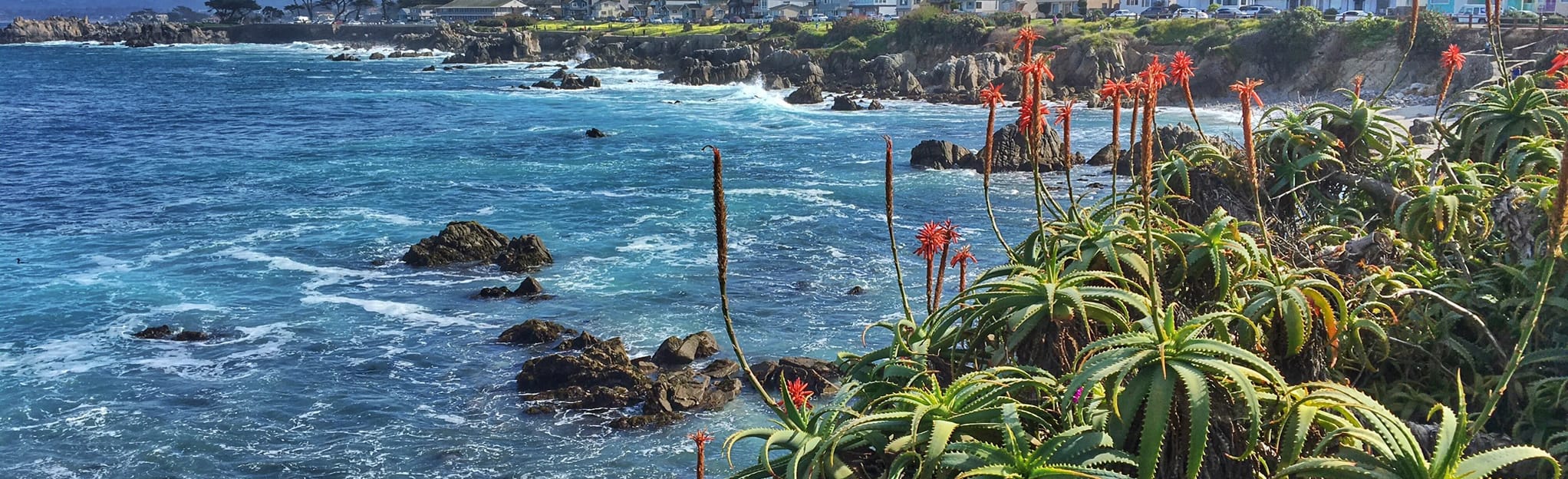 Monterey Peninsula Recreational Trail and Asilomar Ave Loop: 1,189 ...