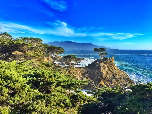 10 Best Trails and Hikes in Monterey | AllTrails