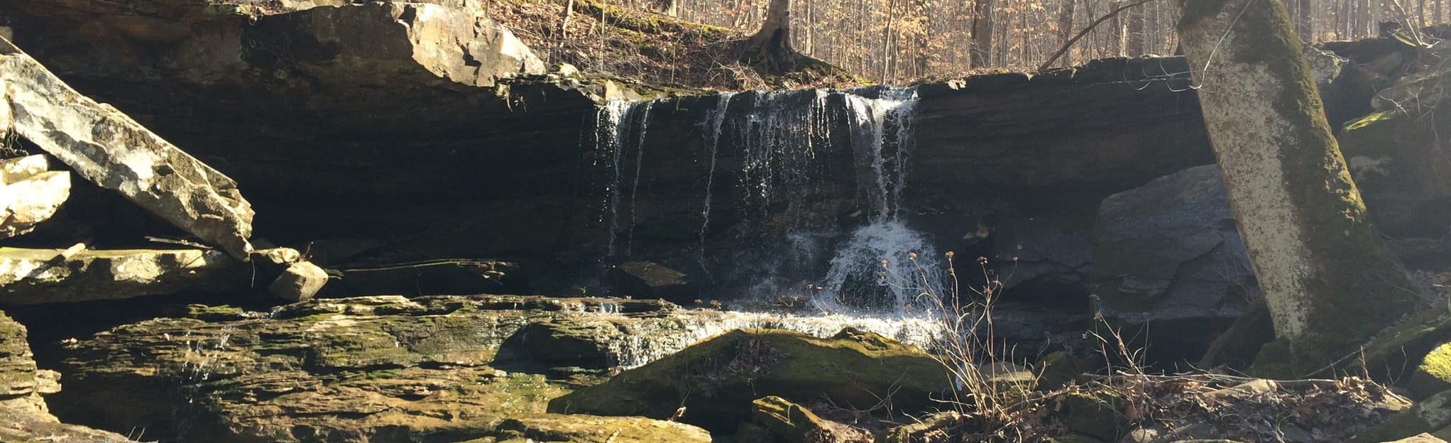 Kinkaid Waterfall Trail - Illinois | AllTrails