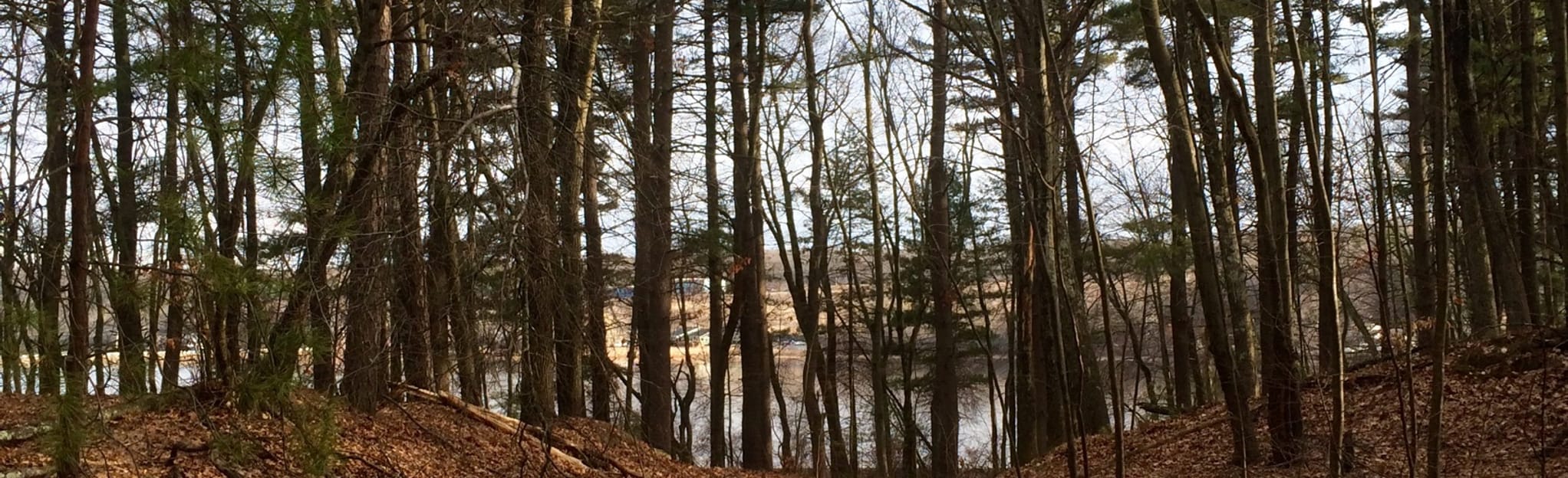The Grove Trail, Massachusetts - 76 Reviews, Map | AllTrails
