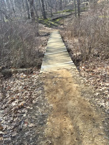 Best Forest Trails in Monroe Township | AllTrails