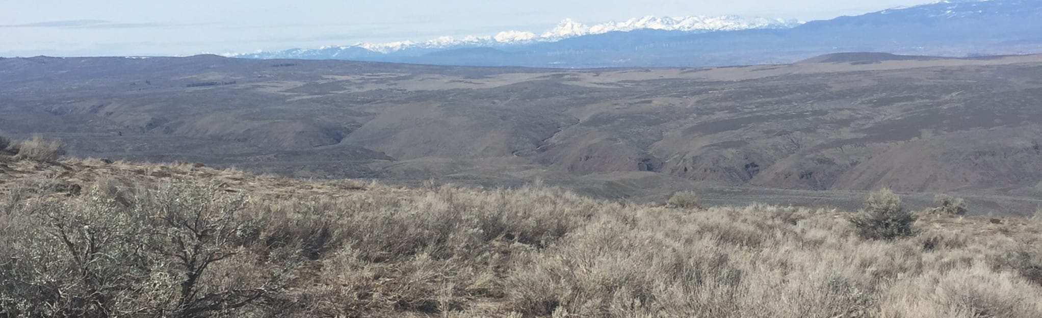 Umtanum Ridge Road, Washington - 14 Reviews, Map | AllTrails