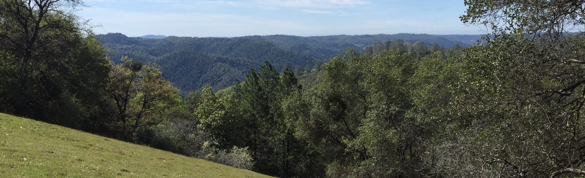 Foresthill Divide Loop, California - 978 Reviews, Map | AllTrails