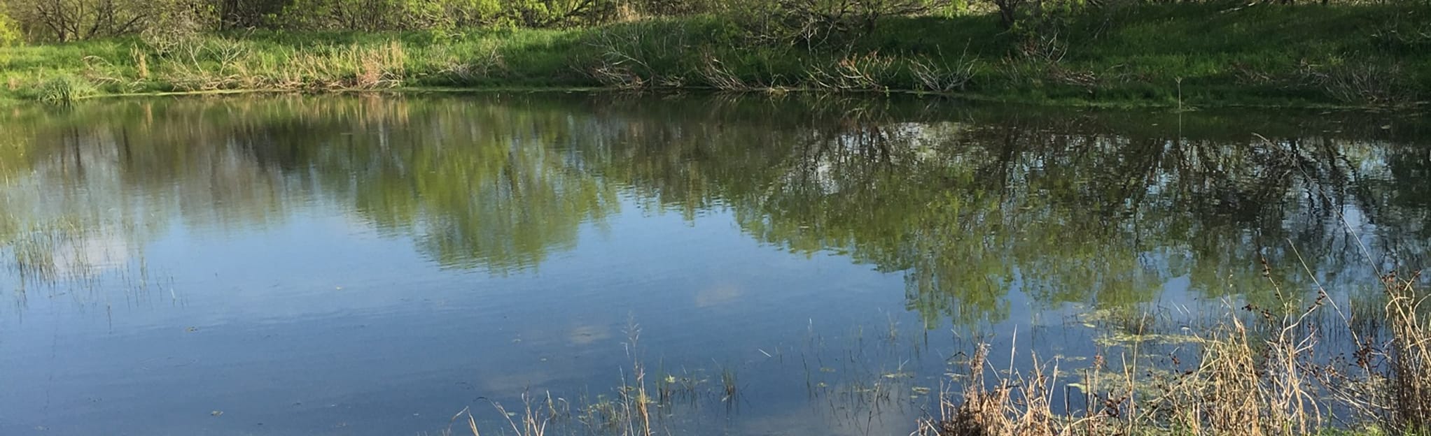 Ringtail Ridge Trail, Texas - 293 Reviews, Map | AllTrails